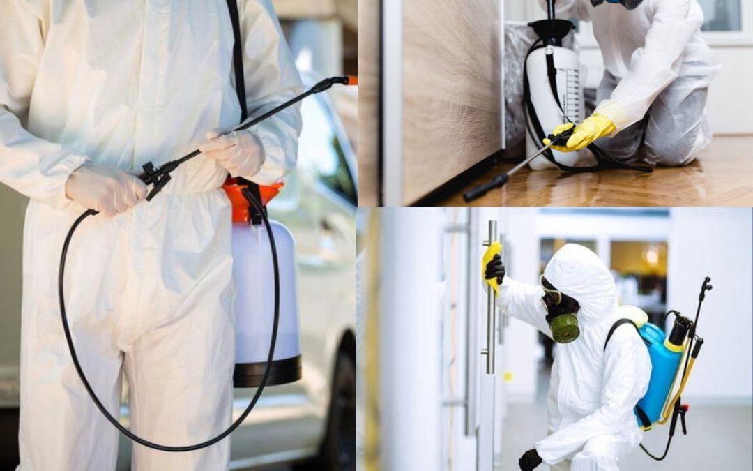 Service Categories | BTB