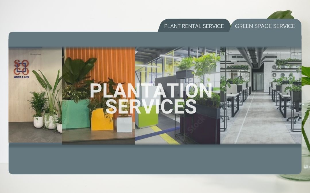 Service Categories | BTB